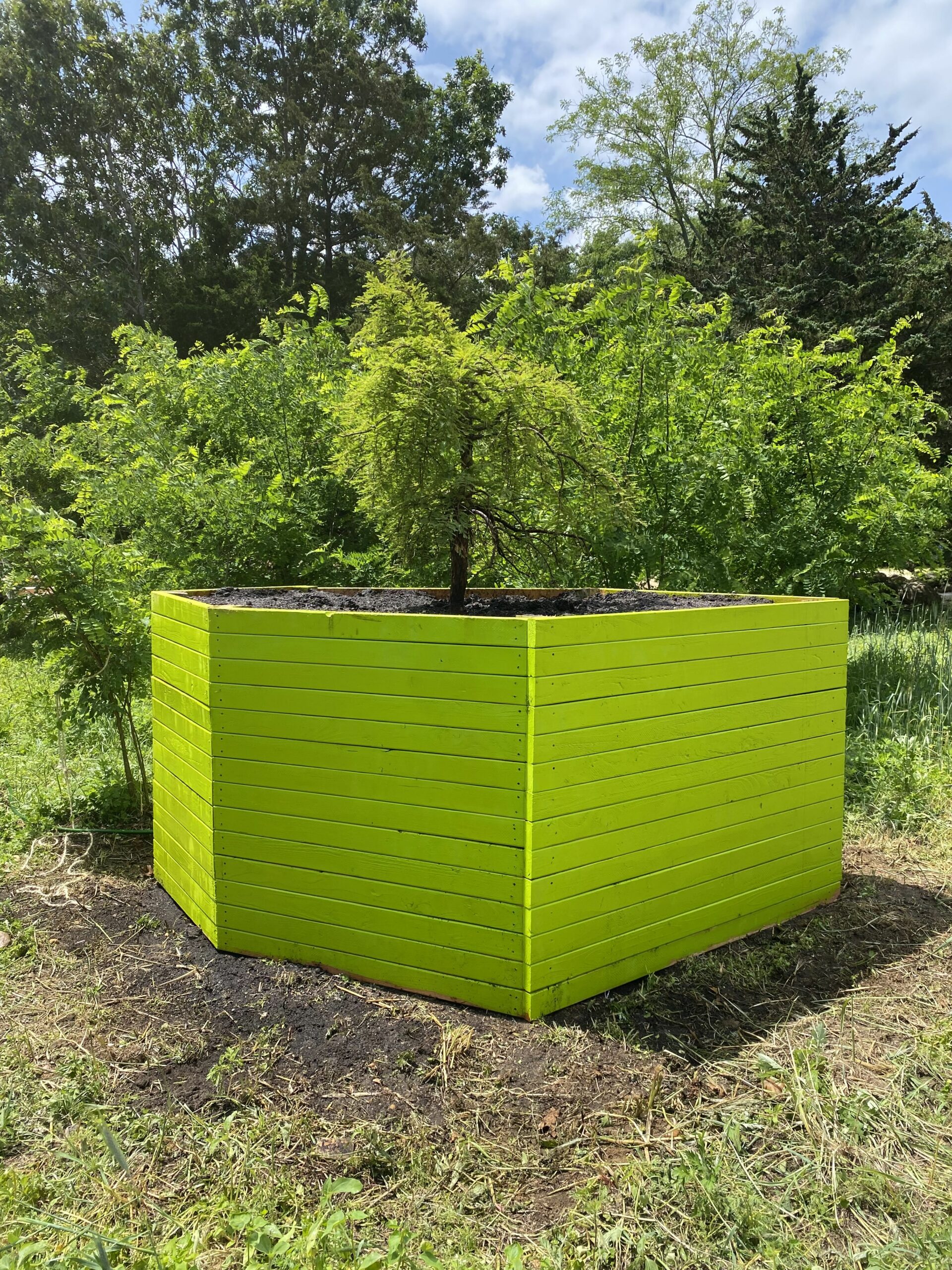 Folly Tree Arboretum